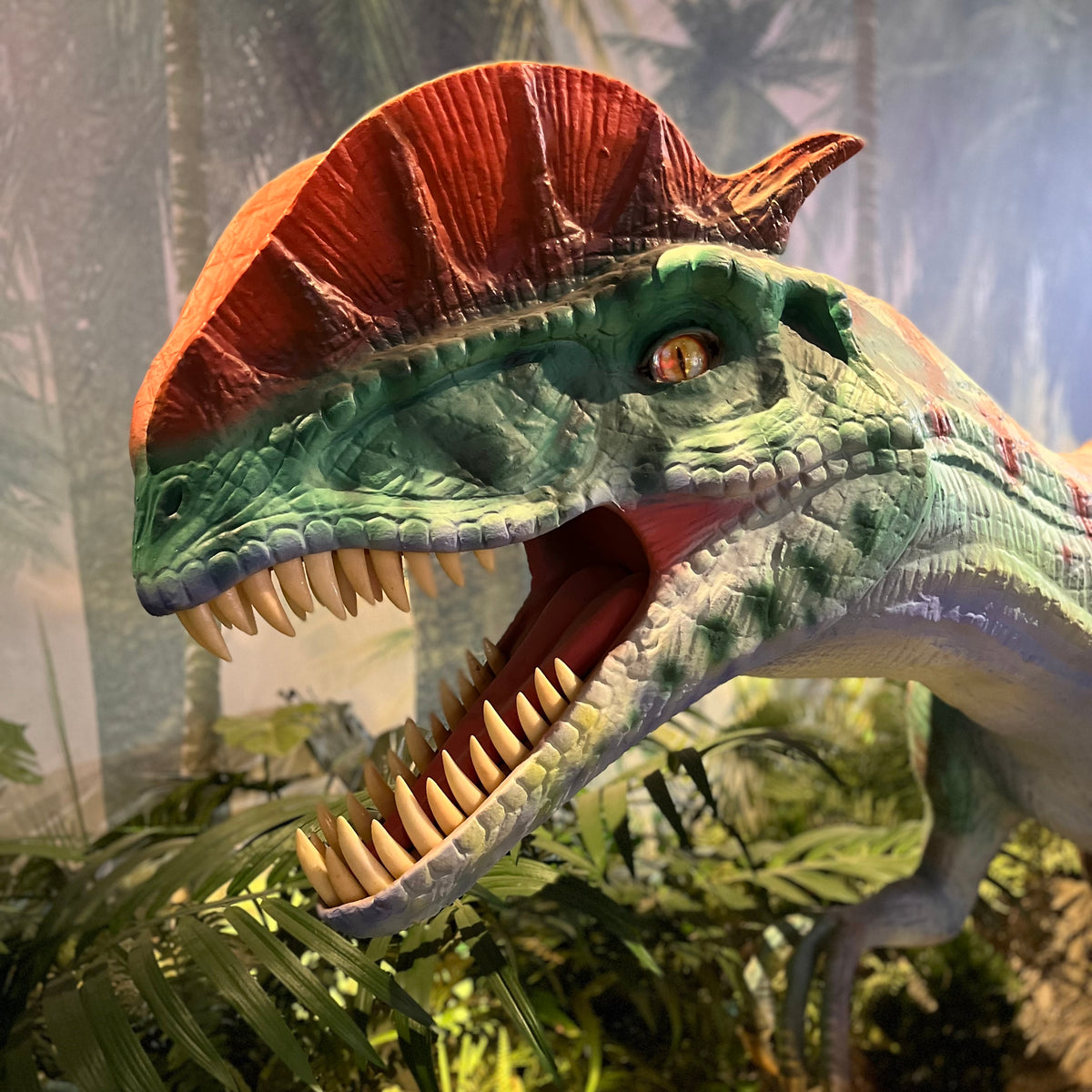 DINOSAUR ADVENTURES – The Shop at Stepping Stones